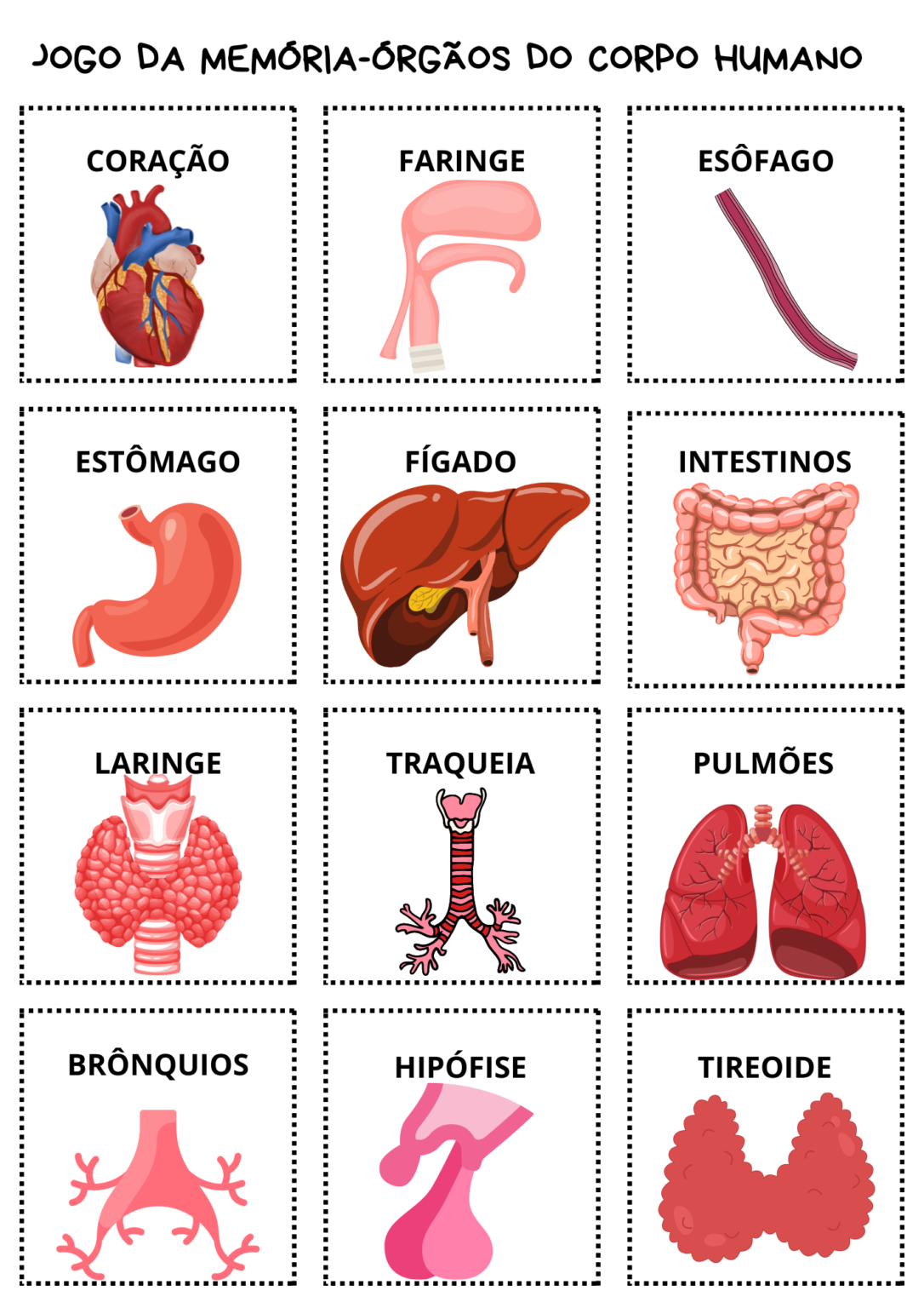 JOGO DA MEMÓRIA DOS ÓRGÃOS DO CORPO HUMANO – Atividades Interativas ...