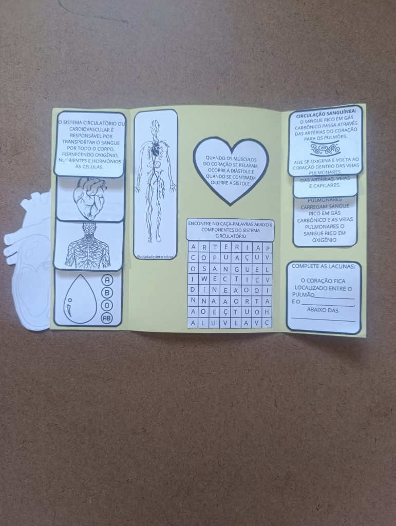 LAPBOOK – SISTEMA CIRCULATÓRIO – Atividades Interativas: Explore ...